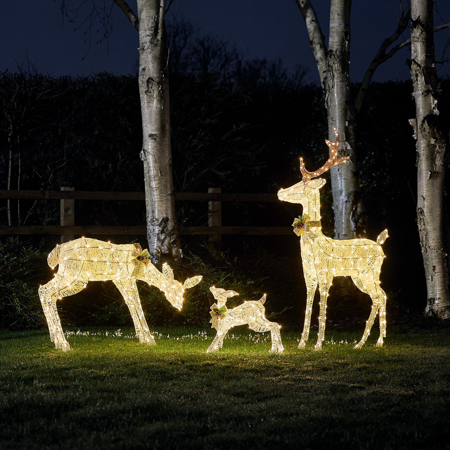 Harewood Light Up Reindeer Collection UK