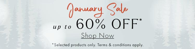 Multi Coloured LED Traditional Pickwick Christmas Lights | Pickwick ...