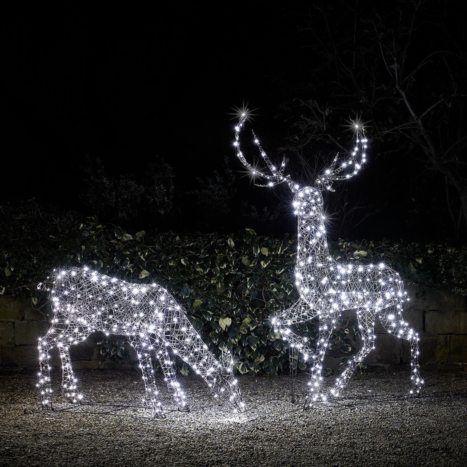 Large Solar Powered Studley Rattan Stag & Doe Dual Colour LED Light Up