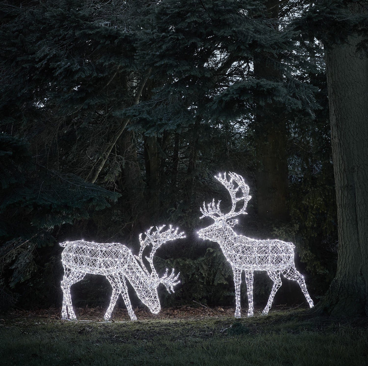 XL Arkendale Stag LED Light Up Reindeer Duo – Lights4fun.co.uk