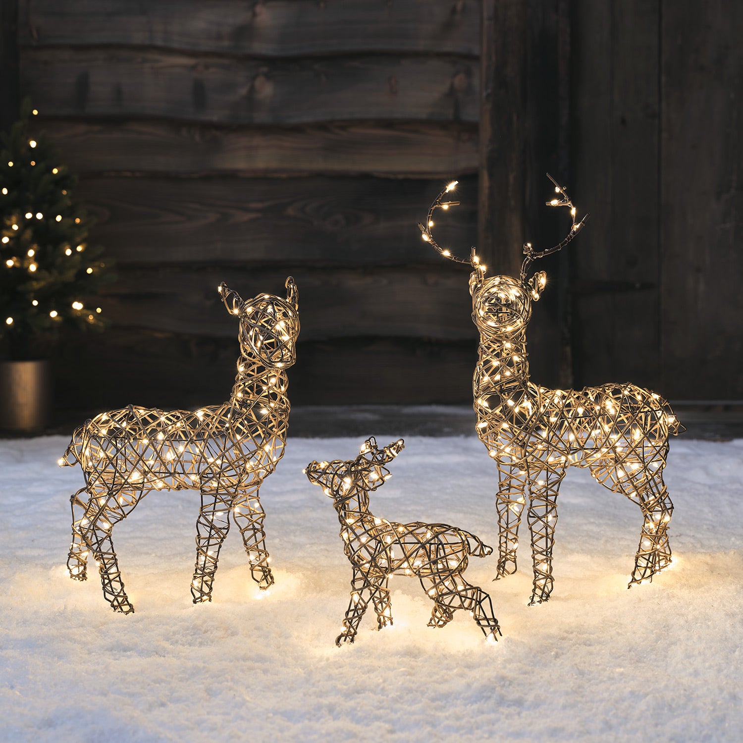 56cm Mini Studley LED Light Up Reindeer Family UK – Lights4fun.co.uk