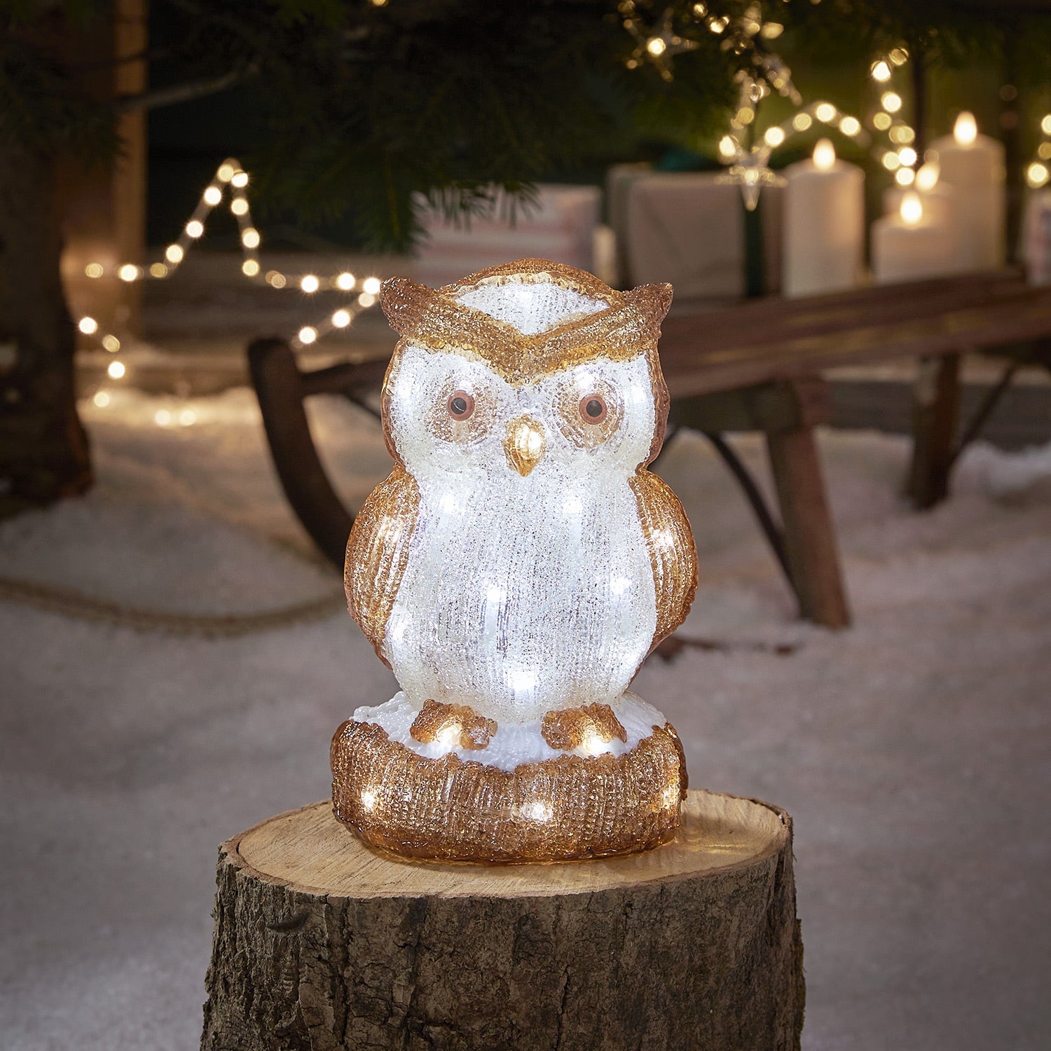 24cm Oscar the Owl LED 3D Acrylic Figure UK