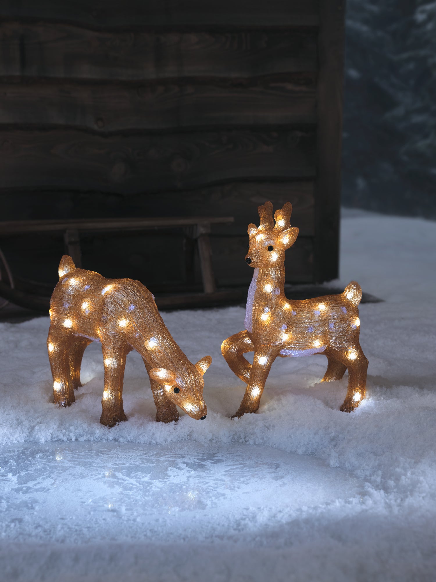 36cm Stag & Doe LED 3D Acrylic Reindeer Duo UK