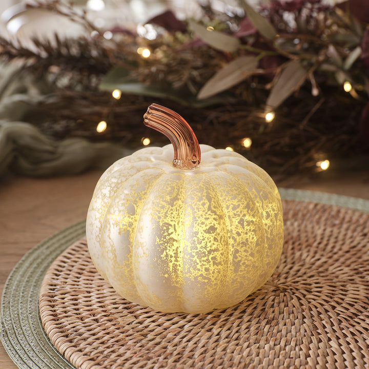 Pumpkin Lights | LED Light Up Pumpkins UK