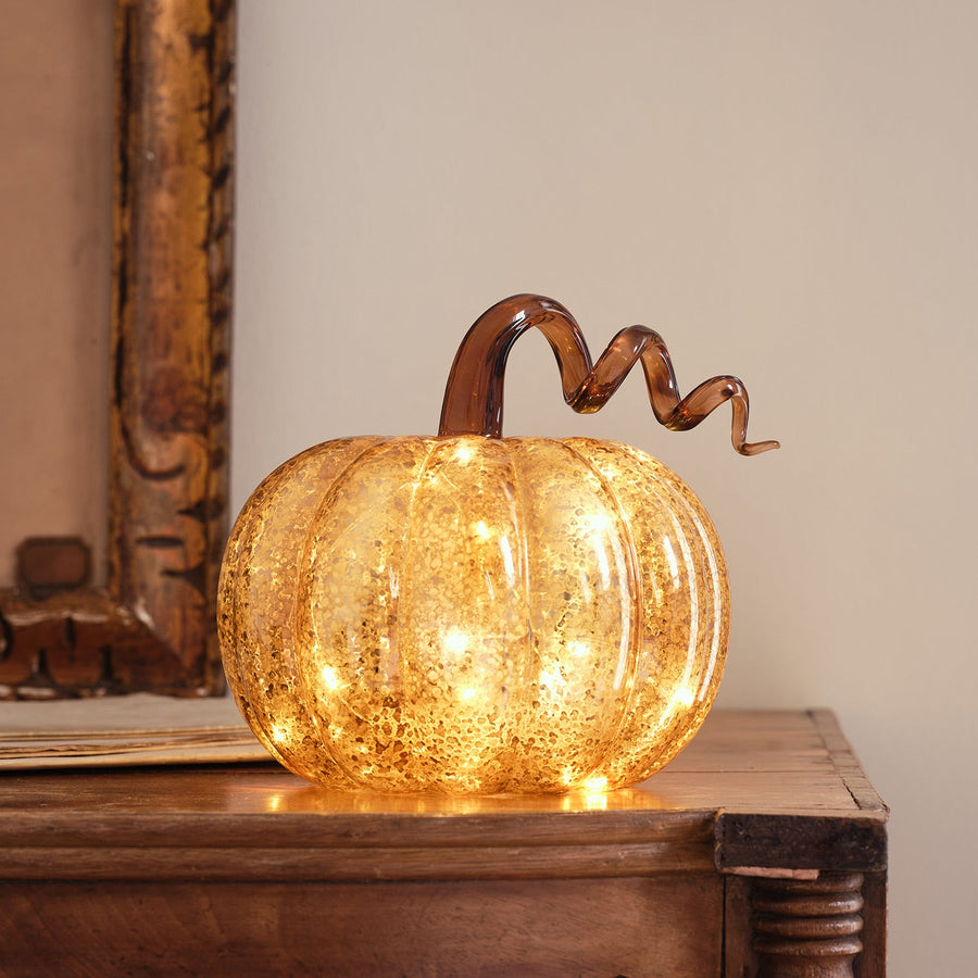 Pumpkin Lights | LED Light Up Pumpkins UK