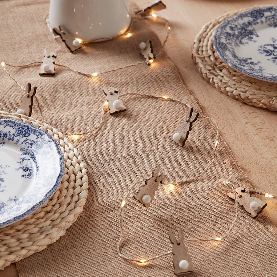 20 Warm White Carnival Plug In Festoon Lights – Lights4fun.co.uk