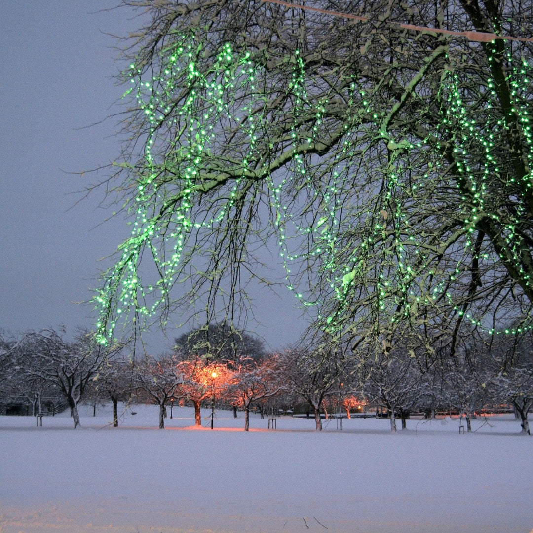 Core Connect 80m 800 Green Connectable Fairy Lights Clear Cable