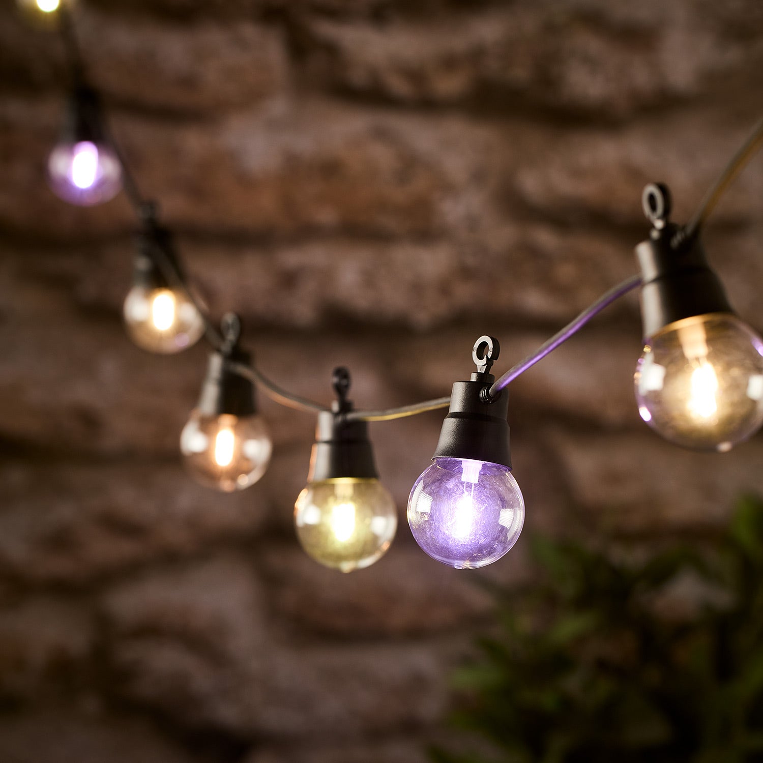 20 Colour Select Plug-In Festoon Lights – Lights4fun.co.uk
