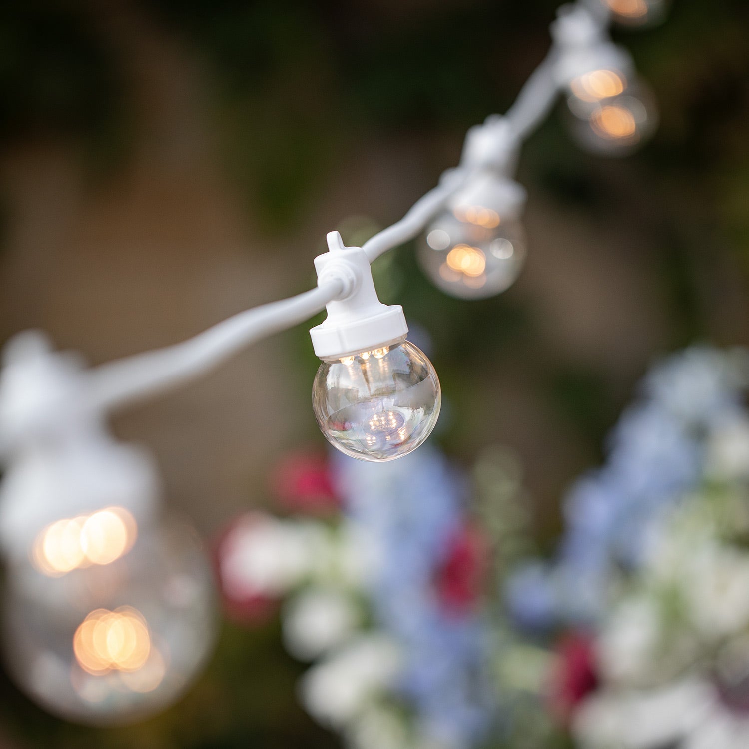 Pro Connect 65m 130 Warm White Connectable Festoon Lights Clear Cap Wh