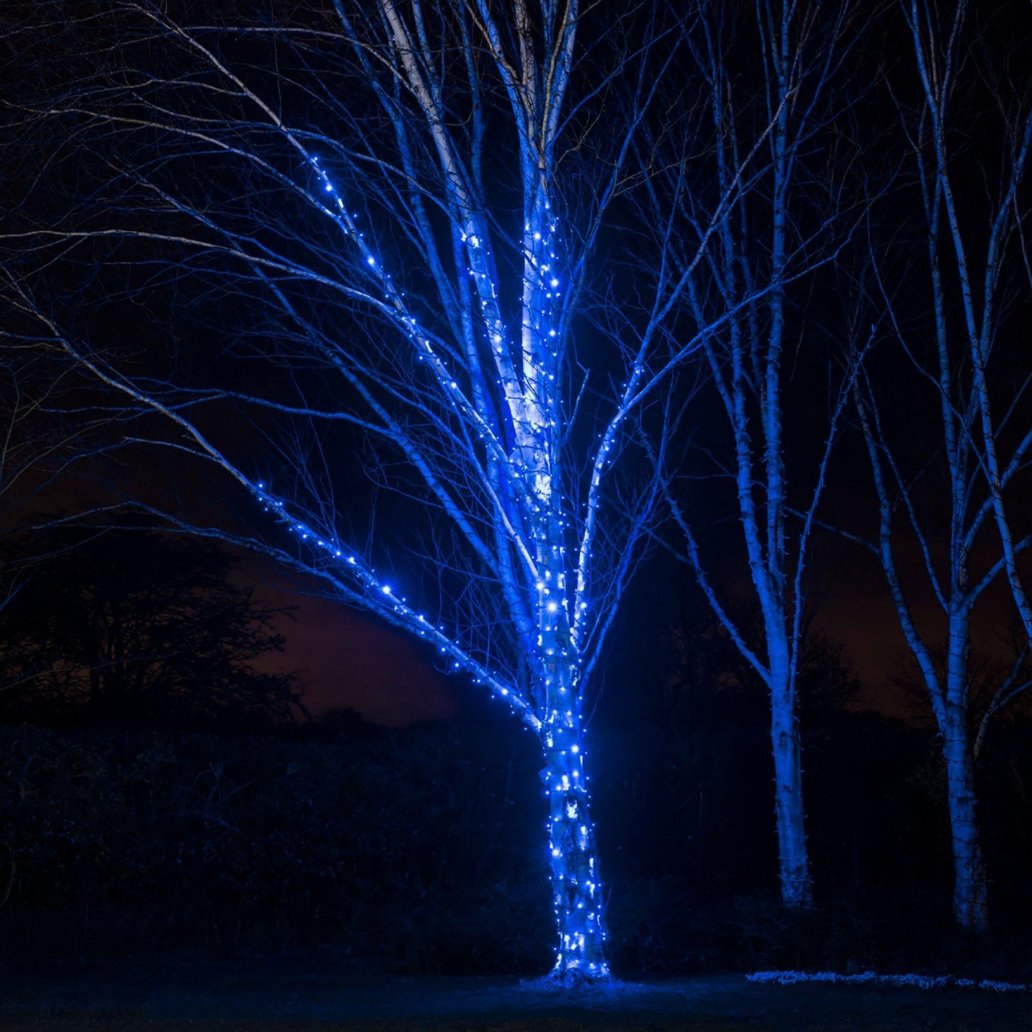 Pro Connect 180m 1800 Blue Connectable String Lights Black Cable