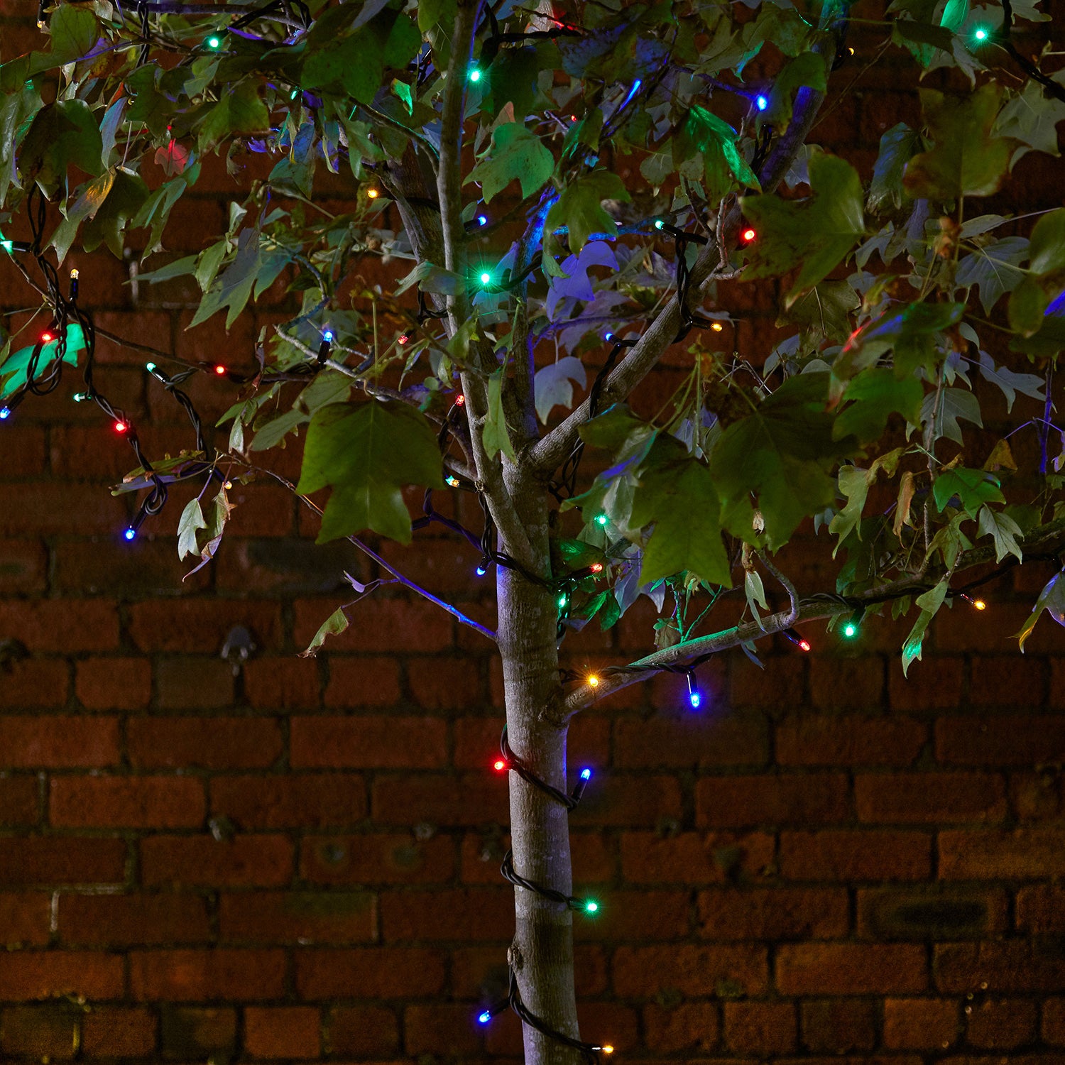 Plus Connect Multi Coloured Connectable Fairy Lights Black Cable