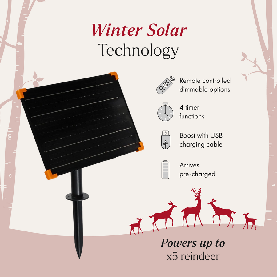 Winter Solar Technology