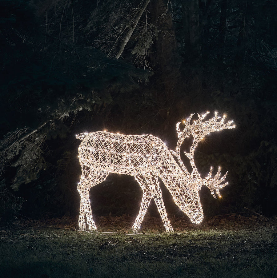 Arkendale Light Up Reindeer Collection UK