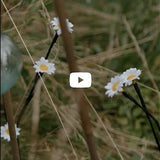 30 LED Daisy Solar Stake Lights | Lights4fun.co.uk