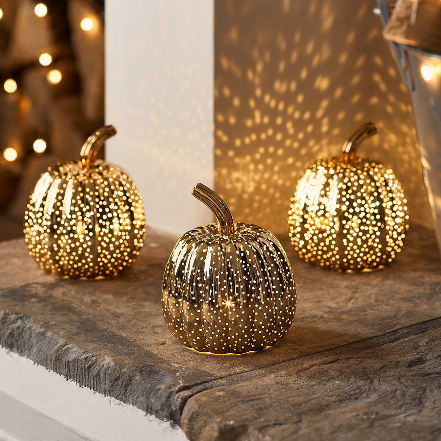 Pumpkin Lights | LED Light Up Pumpkins UK